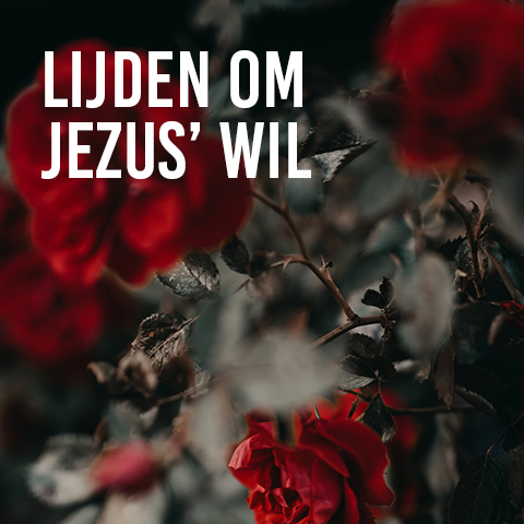 Lijden om Jezus' wil | ABC van het geloof